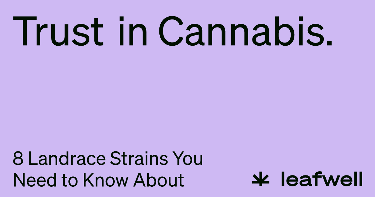 8 Landrace Strains You Need to Know About